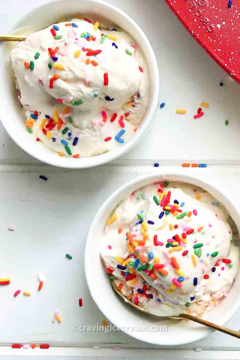 Homemade Sprinkles ice cream - Craving Ice Cream